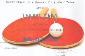 Dosiahnuté úspechy | skinternatzv.sk